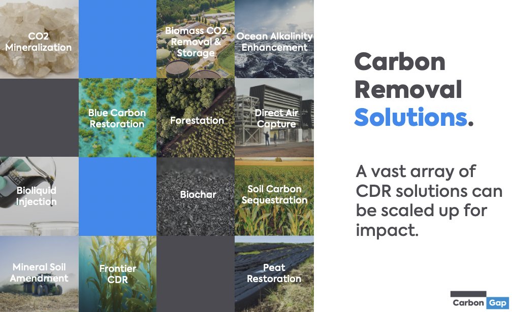 Knowledge Hub - Rethinking Removals